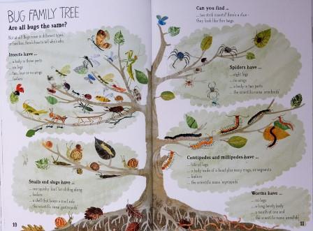 The Big Book of Bugs/A Beetle Is Shy | Red Reading Hub – Jillrbennett's ...