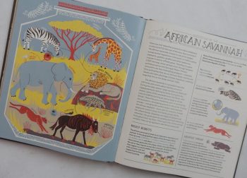 The Incredible Ecosystems of Planet Earth / The Story of Flight | Red ...