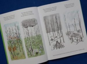 The Last Tree | Red Reading Hub – Jillrbennett's Reviews of Children's ...