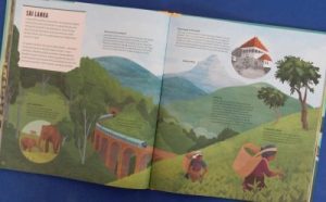 Amazing Islands | Red Reading Hub – Jillrbennett's Reviews of Children ...