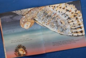 Arlo, the Lion Who Couldn’t Sleep | Red Reading Hub – Jillrbennett's ...