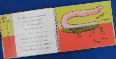 Axel Scheffler’s Flip Flap Minibeasts / Flip Flap Snap! Pets | Red ...