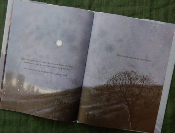 The Snowflake | Red Reading Hub – Jillrbennett's Reviews of Children's ...