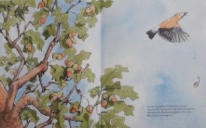 What Did the Tree See? | Red Reading Hub – Jillrbennett's Reviews of ...