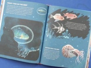 The Great Barrier Reef | Red Reading Hub – Jillrbennett's Reviews of ...