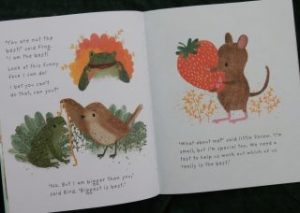 Best Test | Red Reading Hub – Jillrbennett's Reviews of Children's Books