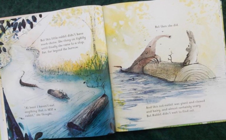 Beyond the Burrow | Red Reading Hub – Jillrbennett's Reviews of ...