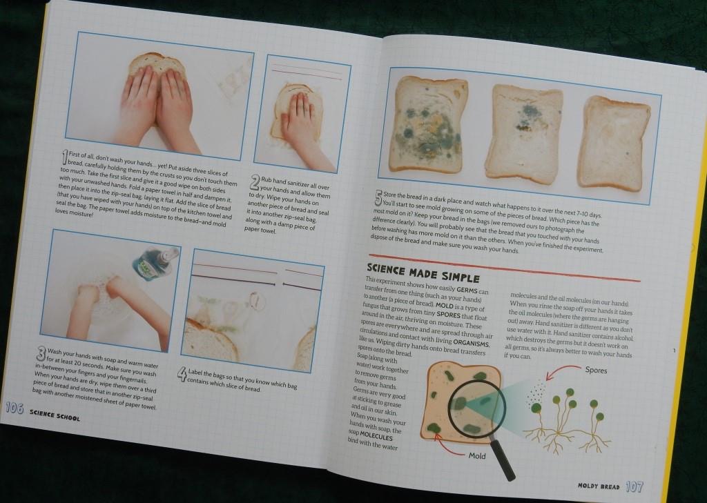 Science School / Out and About Minibeast Explorer | Red Reading Hub ...