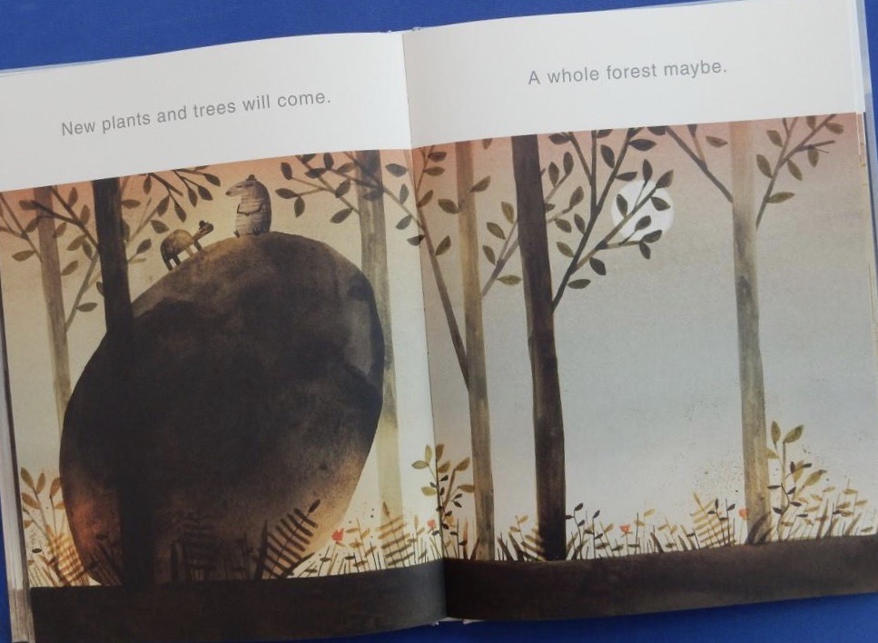 The Rock From the Sky | Red Reading Hub – Jillrbennett's Reviews of ...