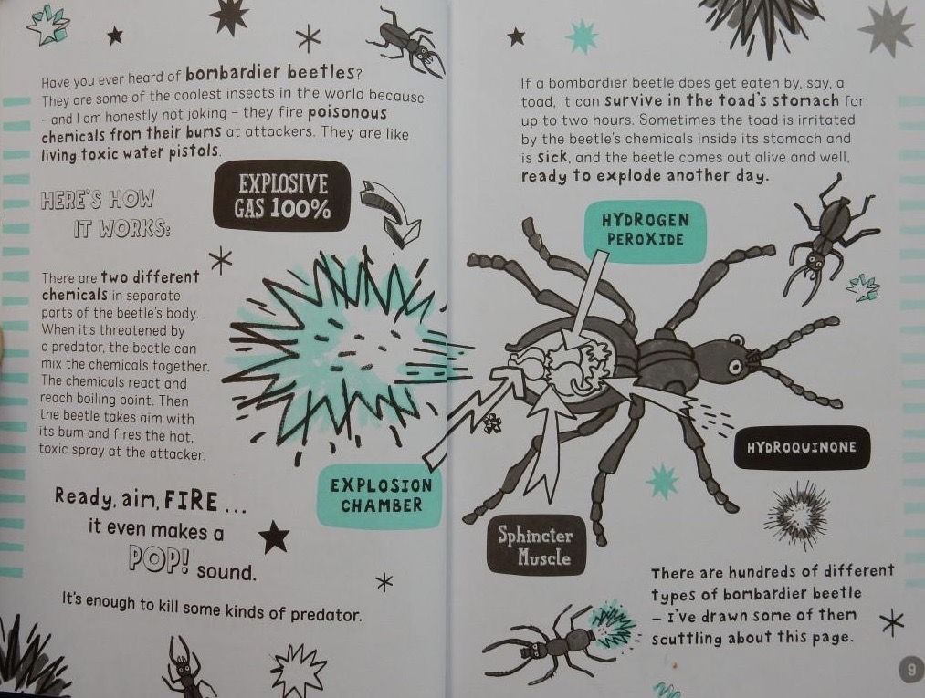 Exploding Beetles & Inflatable Fish | Red Reading Hub – Jillrbennett's ...