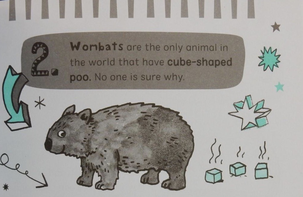 Exploding Beetles & Inflatable Fish | Red Reading Hub – Jillrbennett's Reviews of Children's Books