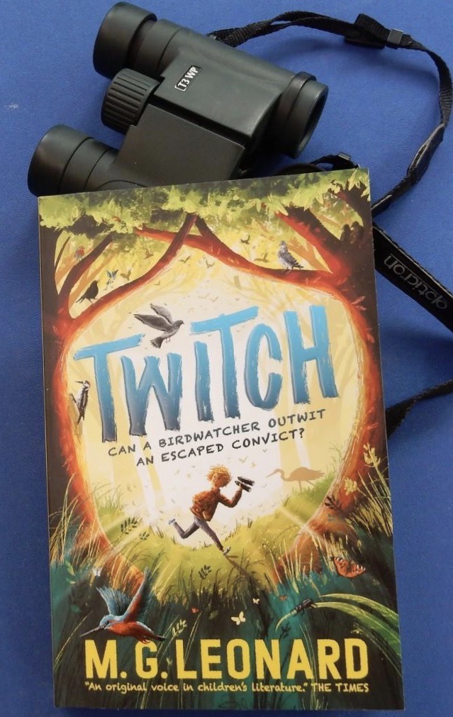 Twitch | Red Reading Hub – Jillrbennett's Reviews of Children's Books