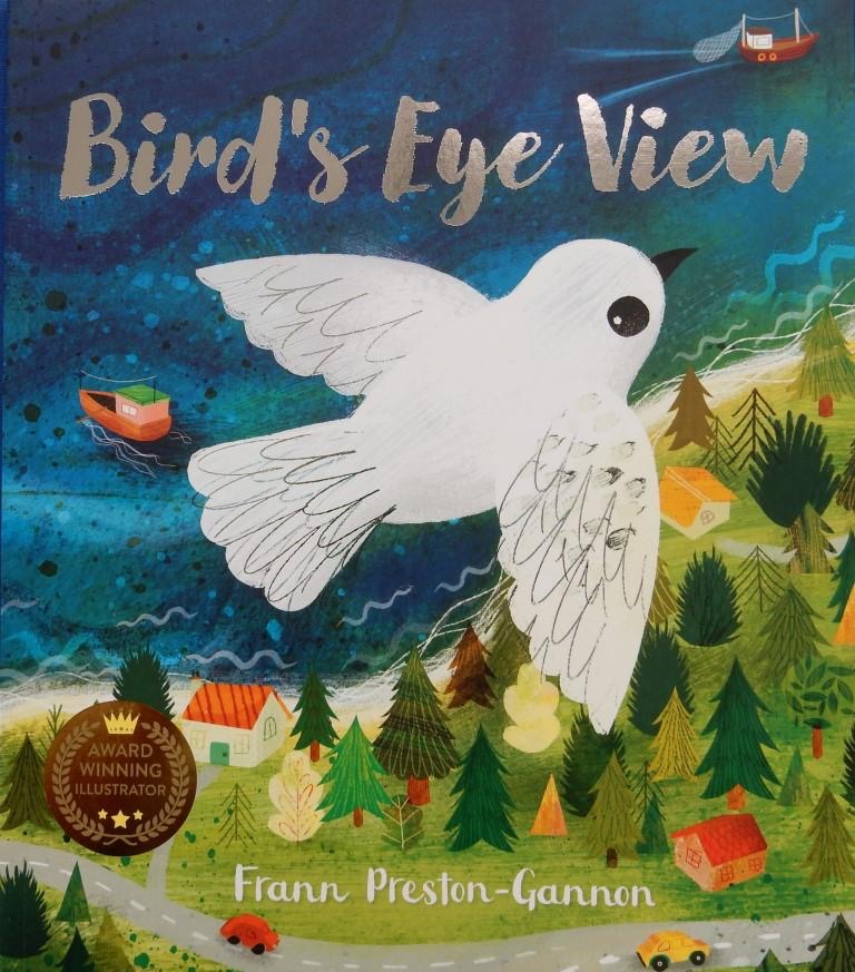 Bird’s Eye View | Red Reading Hub – Jillrbennett's Reviews of Children ...