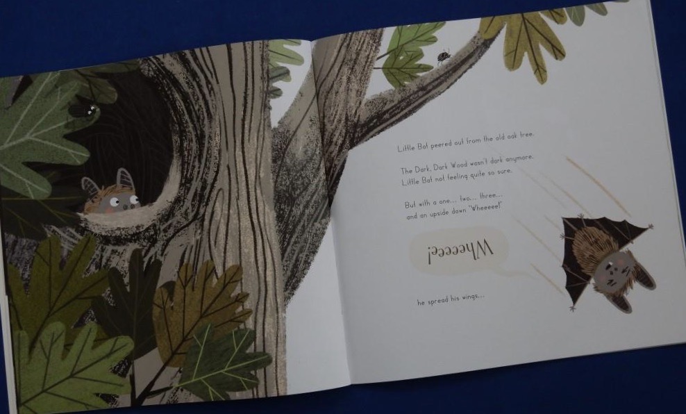 Scaredy Bat | Red Reading Hub – Jillrbennett's Reviews of Children's Books