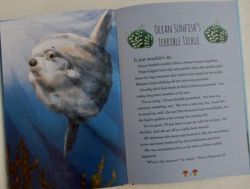 Tales from the Ocean | Red Reading Hub – Jillrbennett's Reviews of ...