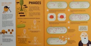 My First Book of Microbes | Red Reading Hub – Jillrbennett's Reviews of ...