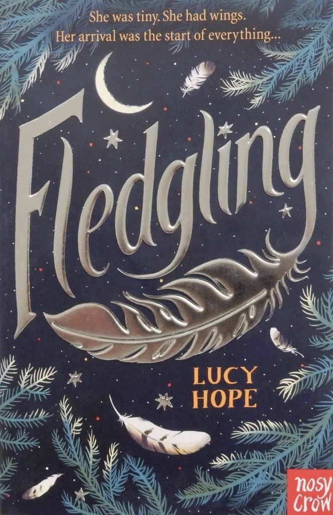 Fledgling | Red Reading Hub – Jillrbennett's Reviews of Children's Books