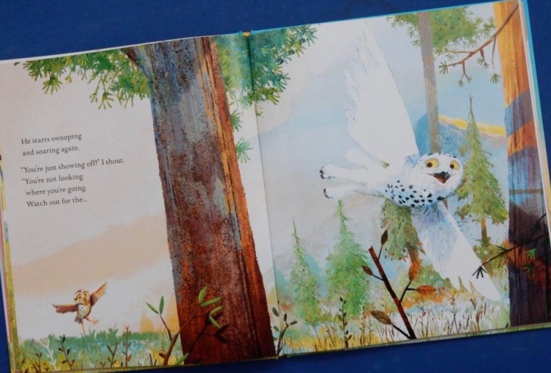 Owls Are Cool | Red Reading Hub – Jillrbennett's Reviews of Children's ...