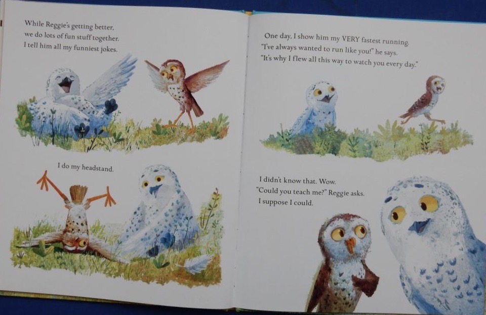 Owls Are Cool | Red Reading Hub – Jillrbennett's Reviews of Children's ...