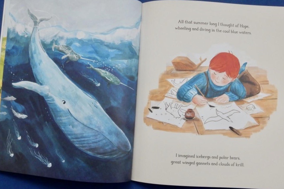 Hope the Whale | Red Reading Hub – Jillrbennett's Reviews of Children's ...