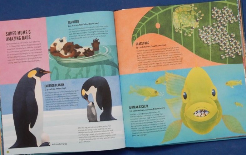 Amazing Animals | Red Reading Hub – Jillrbennett's Reviews of Children ...