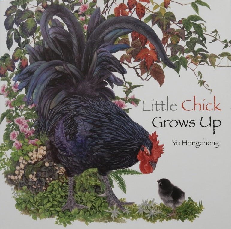 Little Chick Grows Up / Little Rabbit Has Friends | Red Reading Hub ...
