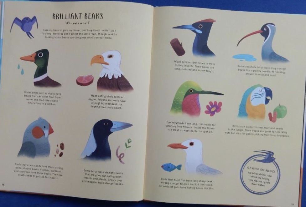 The Secret Life of Birds | Red Reading Hub – Jillrbennett's Reviews of ...