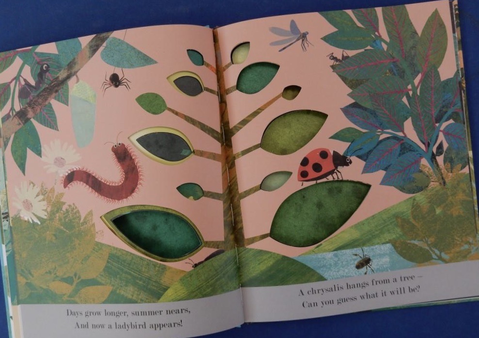Eye Spy / Bugs | Red Reading Hub – Jillrbennett's Reviews of Children's ...