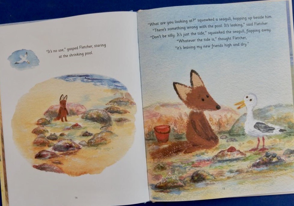 Fletcher and the Rockpool | Red Reading Hub – Jillrbennett's Reviews of ...