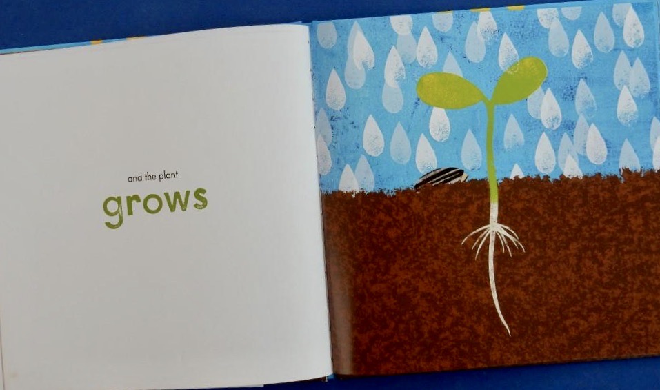 A Seed Grows | Red Reading Hub – Jillrbennett's Reviews of Children's Books