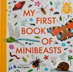 Lifesize: Baby Animals / My First Book of Minibeasts | Red Reading Hub ...