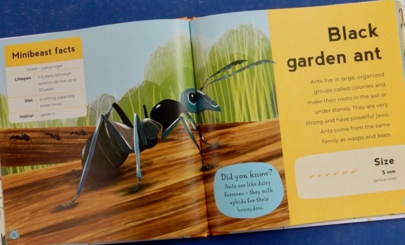 Lifesize: Baby Animals / My First Book of Minibeasts | Red Reading Hub ...