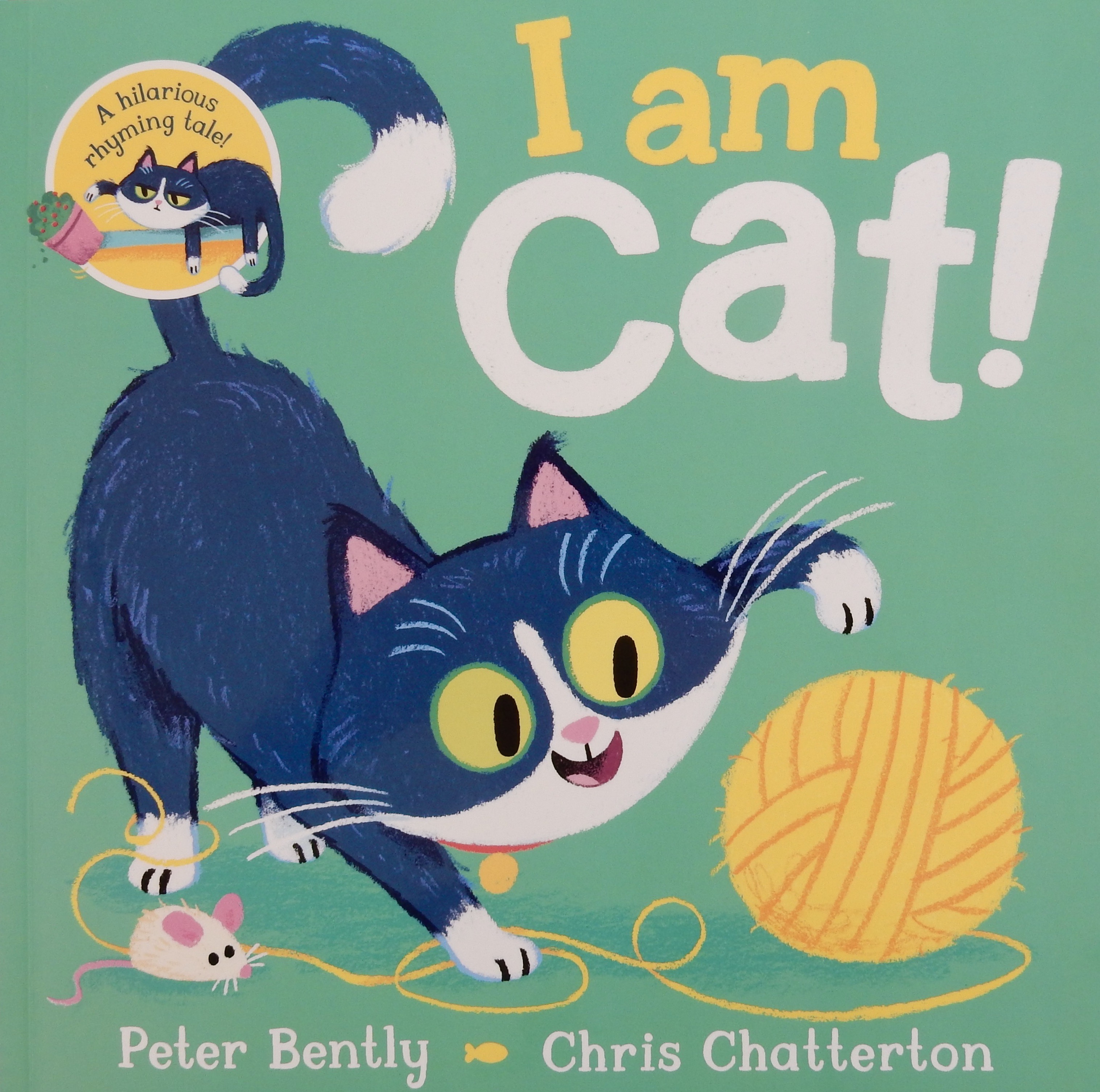 I am Cat! | Red Reading Hub – Jillrbennett's Reviews of Children's Books
