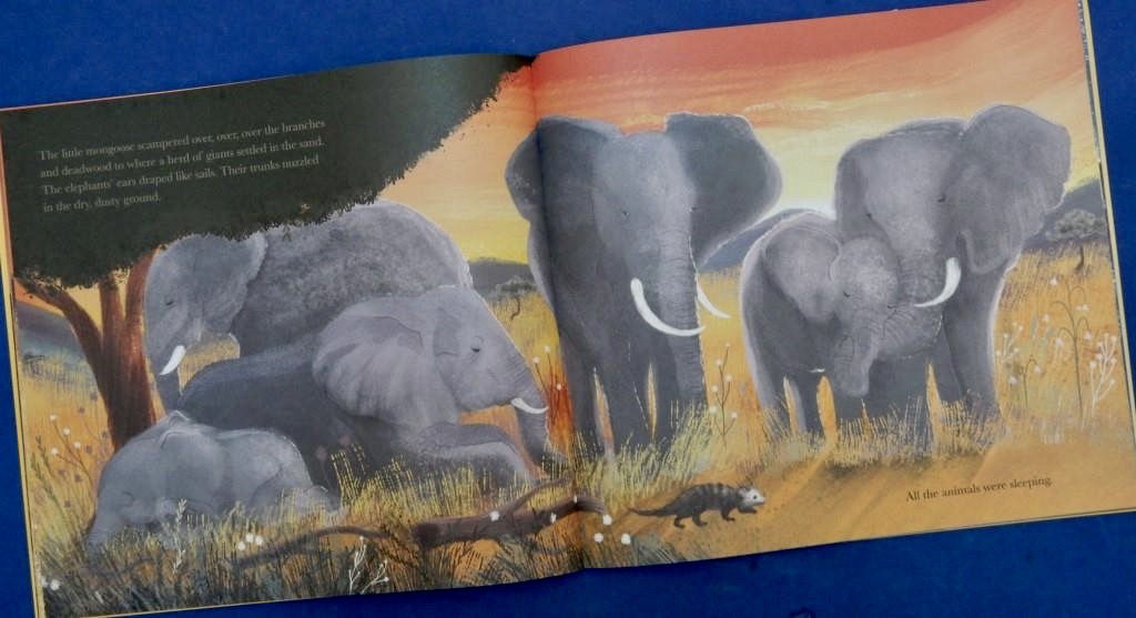 All the Animals Were Sleeping / Amazing Animal Treasury | Red Reading ...