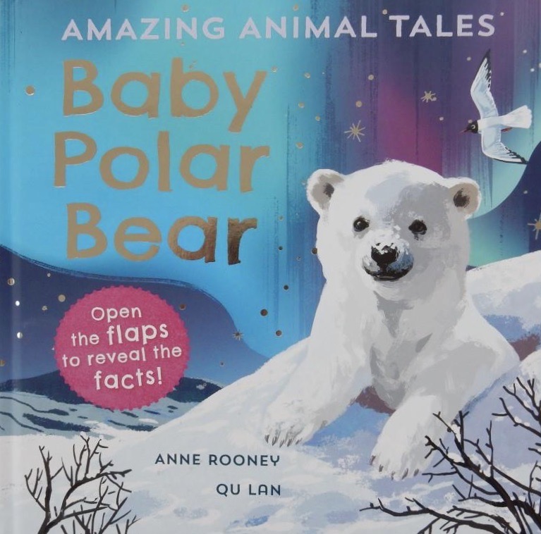 Baby Polar Bear | Red Reading Hub – Jillrbennett's Reviews of Children ...