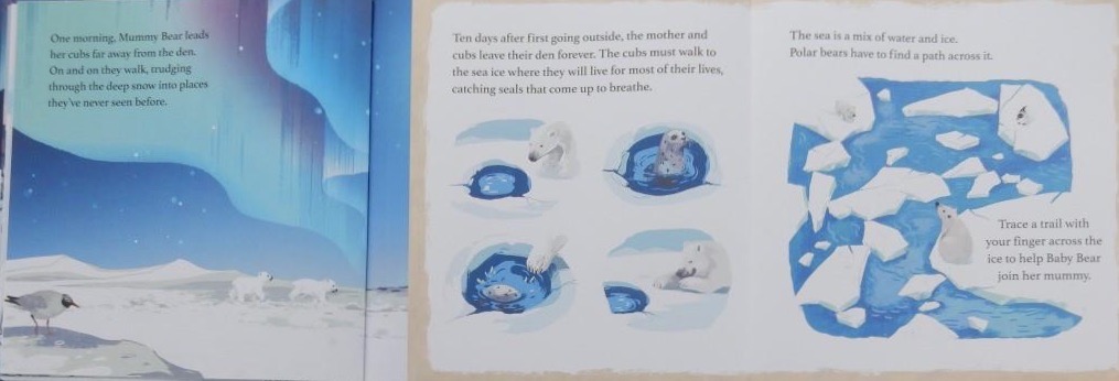 Baby Polar Bear | Red Reading Hub – Jillrbennett's Reviews of Children ...