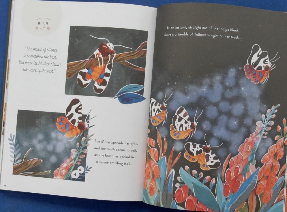 5 Minute Nature Stories | Red Reading Hub – Jillrbennett's Reviews of ...