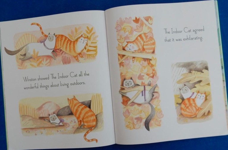Big Cat / Winston and The Indoor Cat | Red Reading Hub – Jillrbennett's ...