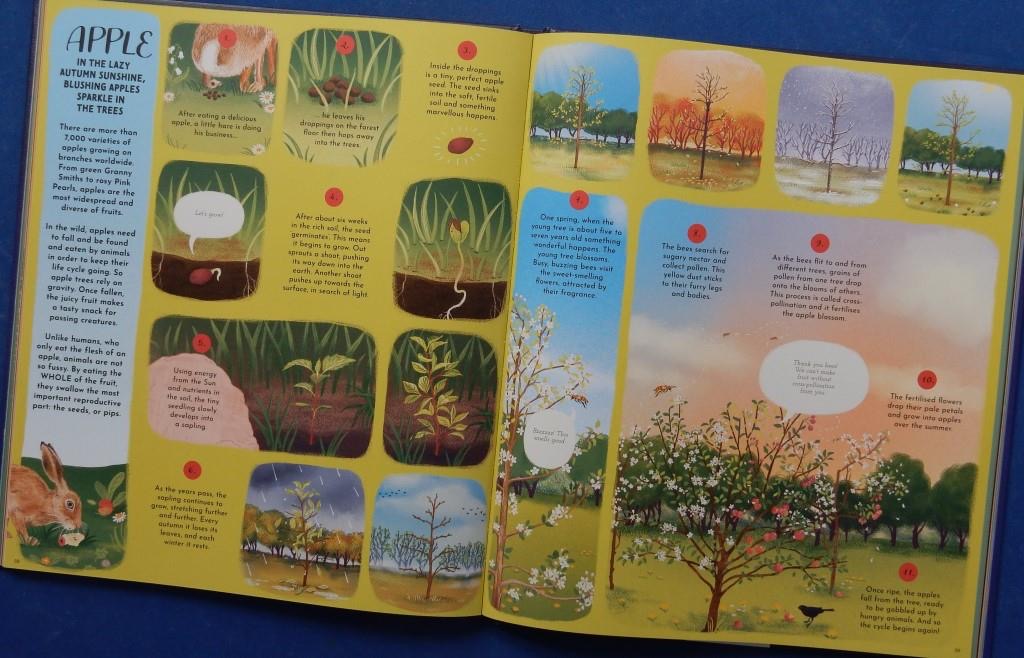 Round and Round Goes Mother Nature | Red Reading Hub – Jillrbennett's ...