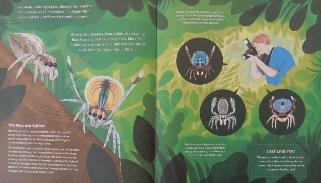 Curious Creatures Talking Together | Red Reading Hub – Jillrbennett's ...