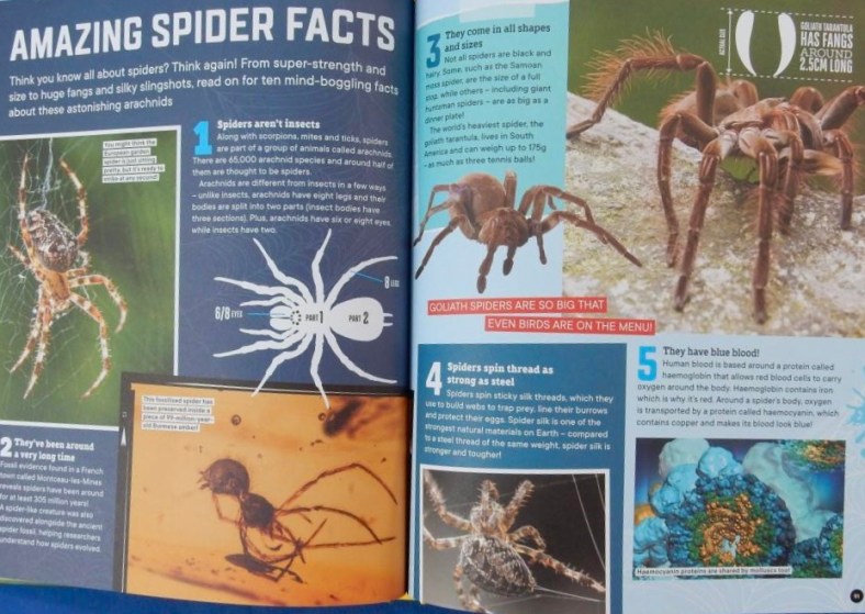 Factology: Bugs | Red Reading Hub – Jillrbennett's Reviews of Children ...