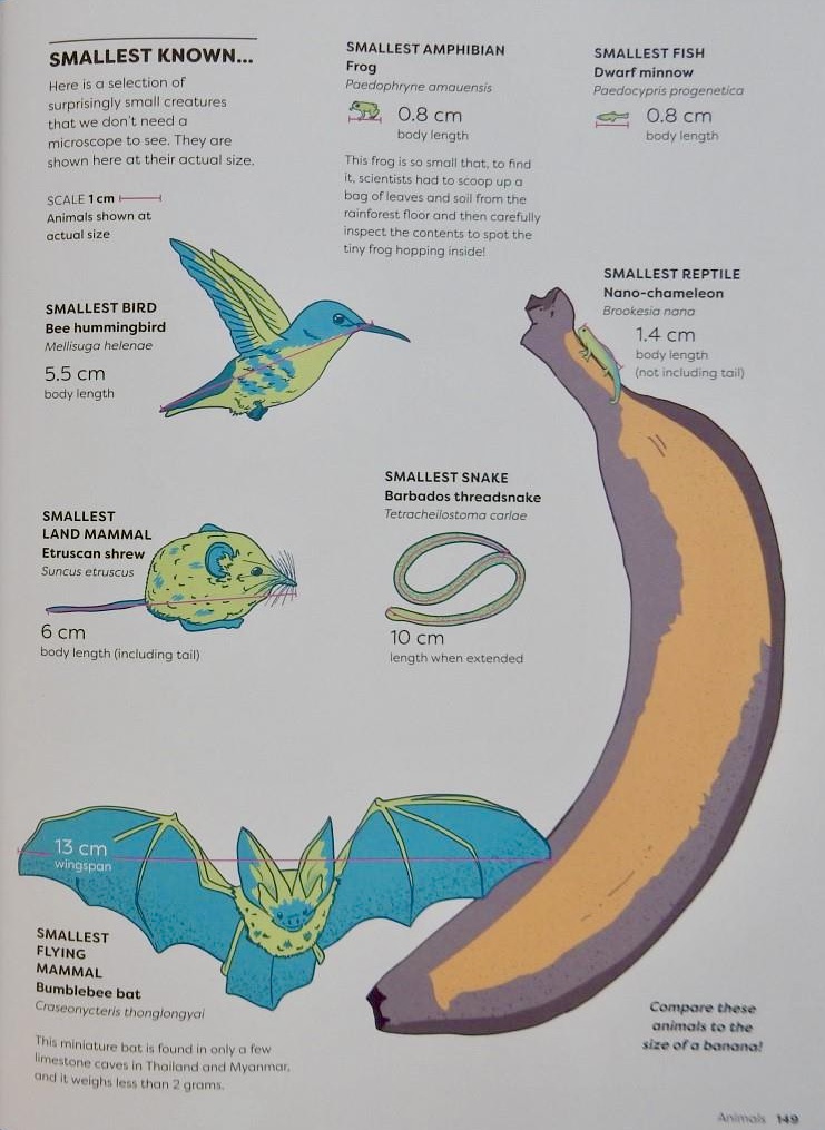 Britannica’s Encyclopedia Infographica | Red Reading Hub – Jillrbennett ...