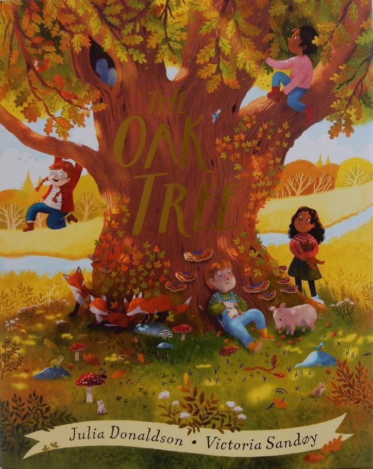 The Oak Tree | Red Reading Hub – Jillrbennett's Reviews of Children's Books