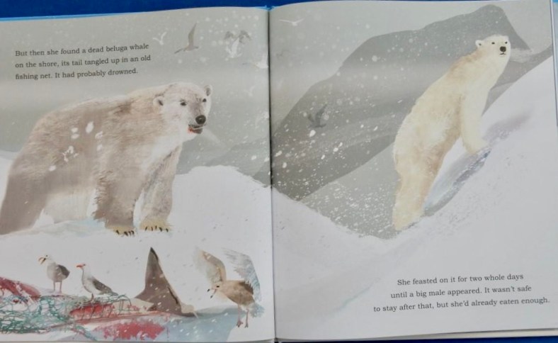 Ice Journey of the Polar Bear | Red Reading Hub – Jillrbennett's ...