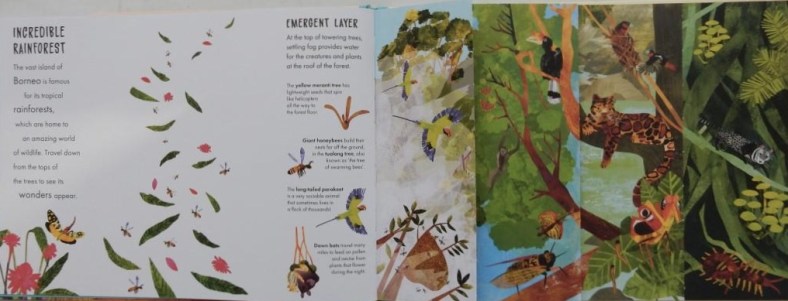 Habitats | Red Reading Hub – Jillrbennett's Reviews of Children's Books