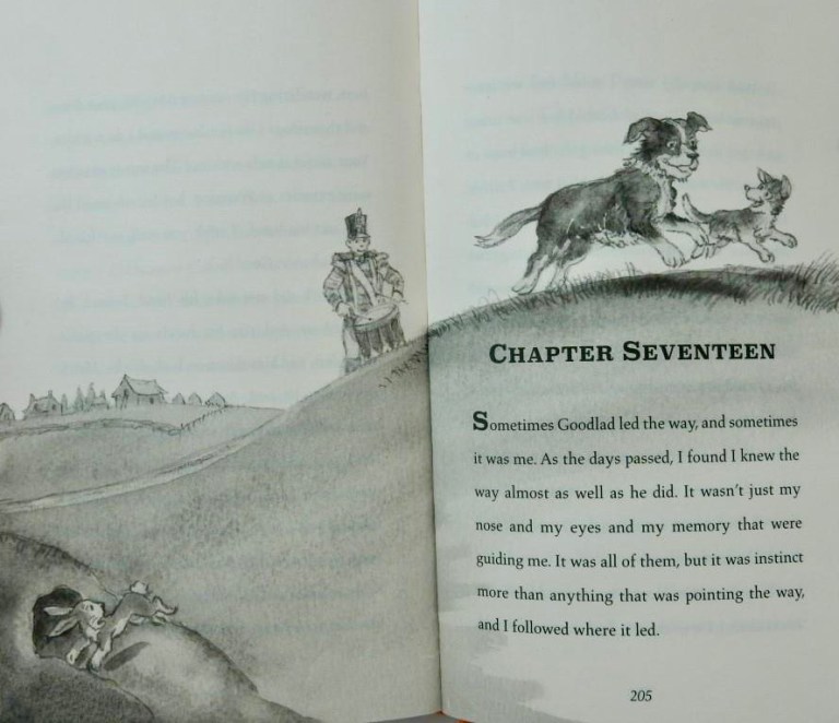 Cobweb | Red Reading Hub – Jillrbennett's Reviews of Children's Books