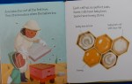 Lulu Meets The Bees | Red Reading Hub – Jillrbennett's Reviews of ...